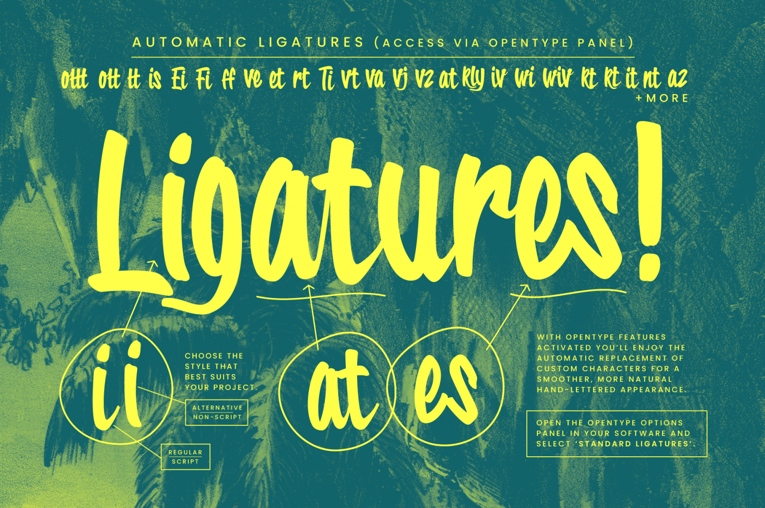 Tropical Carnival: A Sunny Brush Script Font by Wingsart Studio