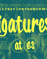 Tropical Carnival: A Sunny Brush Script Font by Wingsart Studio