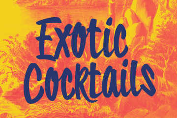 Tropical Carnival: A Sunny Brush Script Font by Wingsart Studio