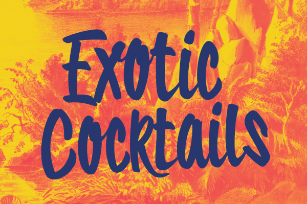 Tropical Carnival: A Sunny Brush Script Font by Wingsart Studio