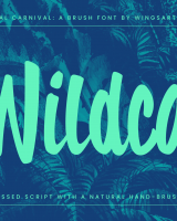 Tropical Carnival: A Sunny Brush Script Font by Wingsart Studio