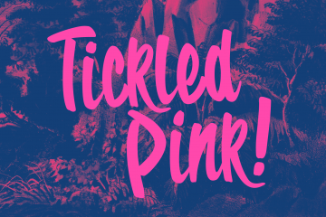 Tropical Carnival: A Sunny Brush Script Font by Wingsart Studio